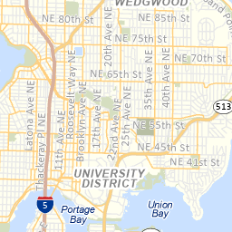 ArcGIS Web Application